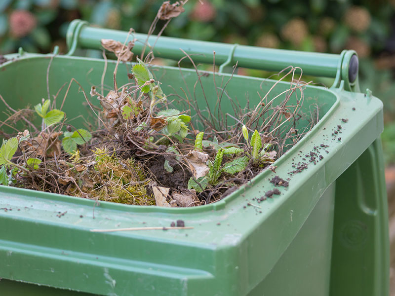 Subscribe to receive North Somerset garden waste service | North ... Subscribe to receive North Somerset garden waste service | North ...